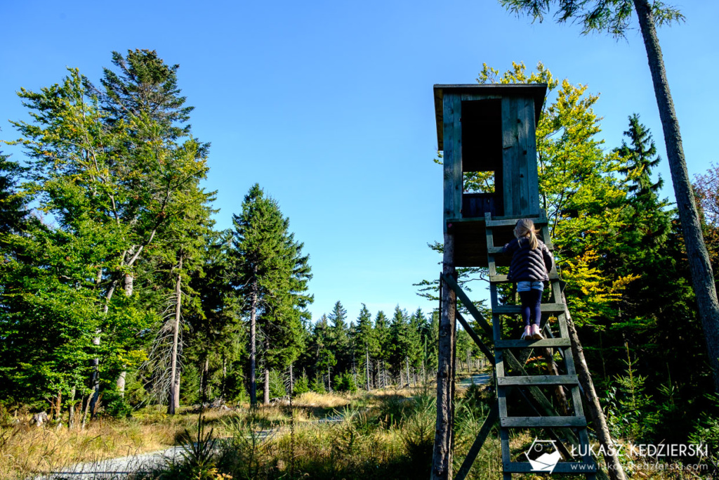 KGP#7 Jagodna - Góry Bystrzyckie - zdobywanie Korony Gór Polski
