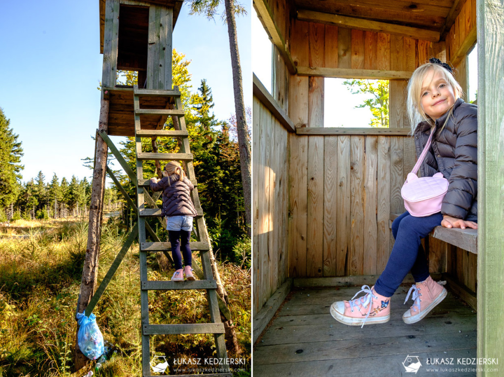 KGP#7 Jagodna - Góry Bystrzyckie - zdobywanie Korony Gór Polski