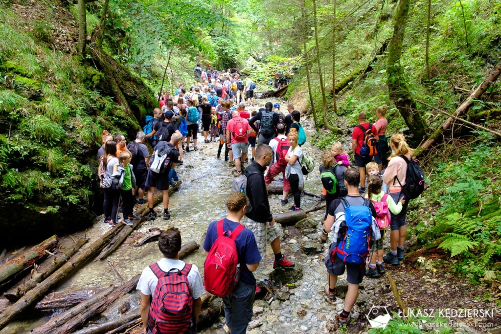 Sucha Bela (Suchá Belá) – najpopularniejszy szlak w Słowackim Raju