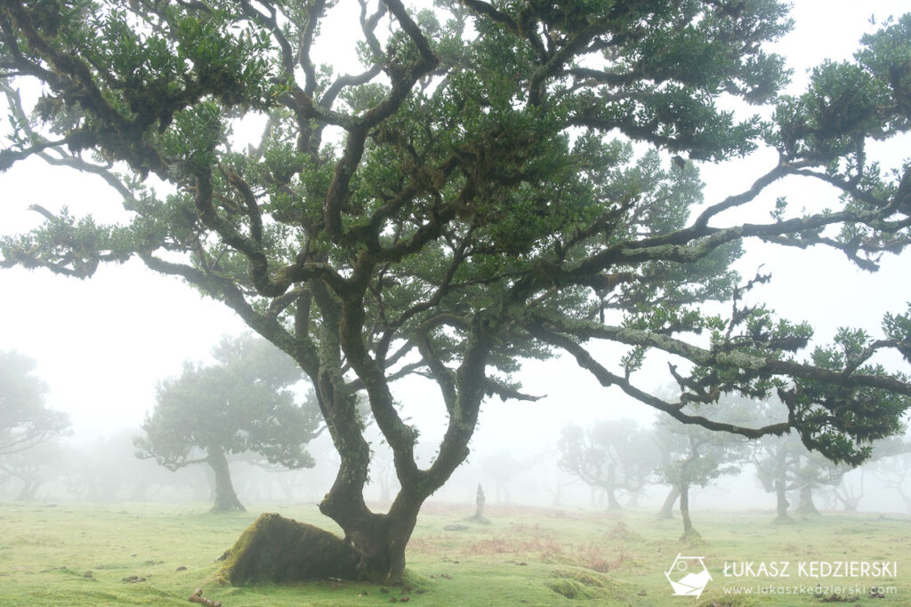 Atrakcje Madery, czyli co warto zobaczyć na Maderze? [TOP12]